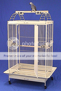 Galah Cage... What To Chose? | Parrot Forum 🦜 Parrot Owners Community