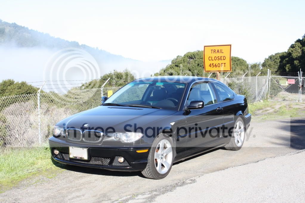 PICS REQUEST: Coupe with Star Spoke 119 | E46 Fanatics Forum
