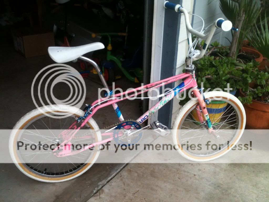 Official Pink '85 Haro Master/Sport thread. Lets get a count ...