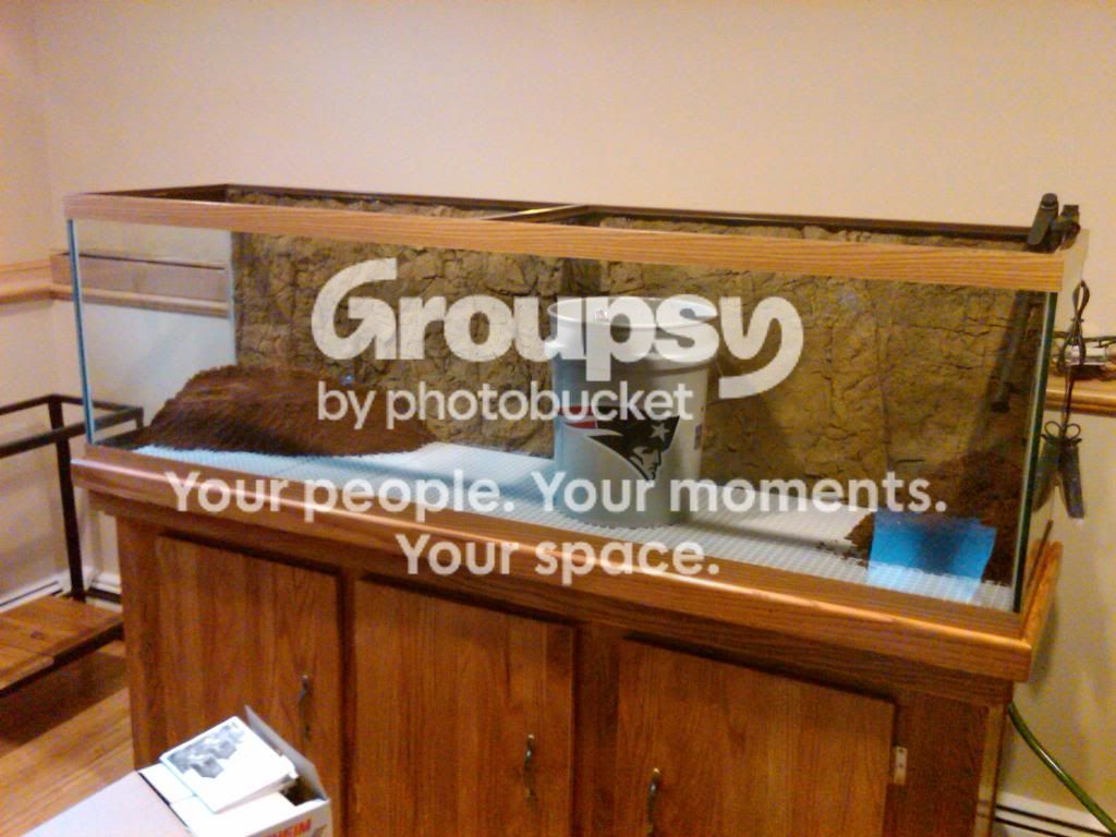Best color sand substrate for Geo.Tapajos Red head | Cichlid Fish Forum